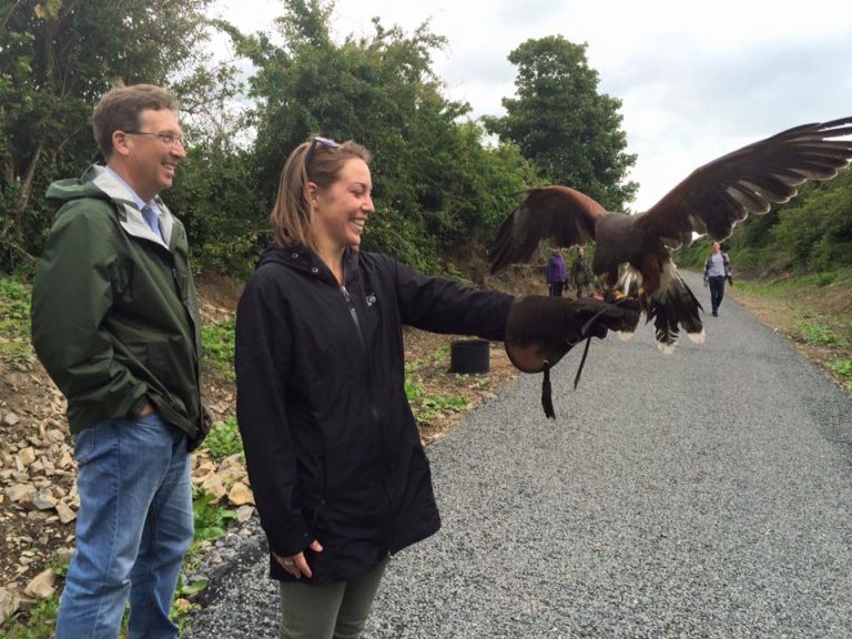Mayfield Birds Of Prey | Falconry In Ireland – Experience The Ancient ...