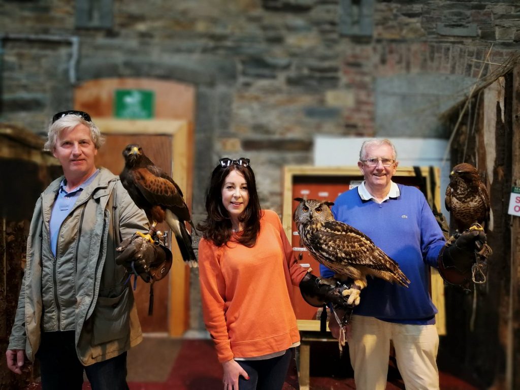 Families – Mayfield Birds Of Prey | Falconry In Ireland